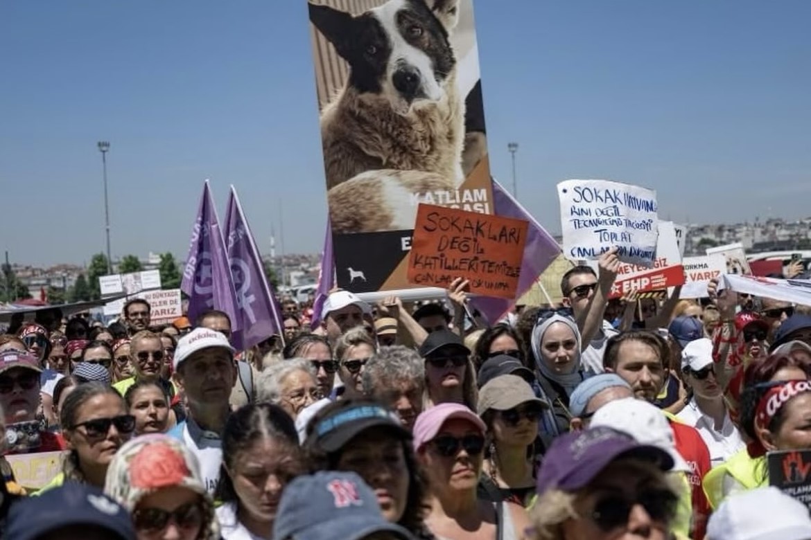 Unser Kampf geht weiter - Care 4 Life